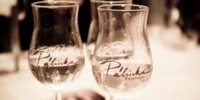 青年党选举坚持"free palinka 蒸馏" - DailyNewsHungary