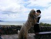 Komondor - the Largest Hungarian Dog - Daily News Hungary