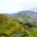 The Tradition of the Hungarian Name Day | Daily News Hungary