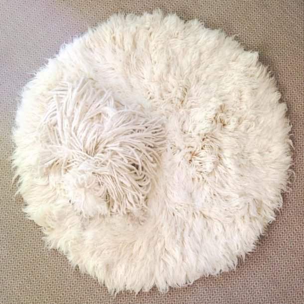 Mark Zuckerberg’s photos of his Hungarian Puli blew up the internet ...