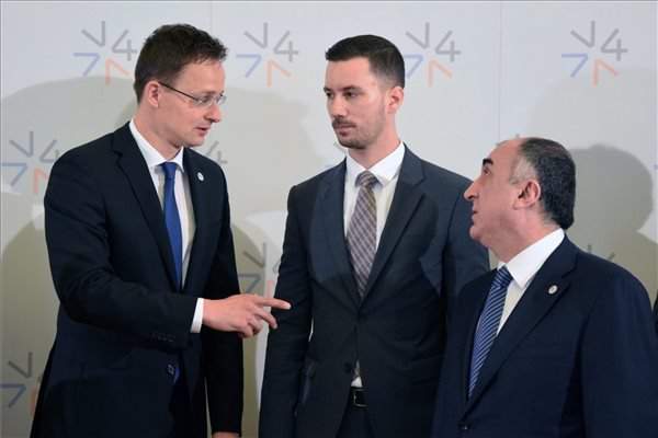 Mark Zuckerberg’s photos of his Hungarian Puli blew up the internet ...