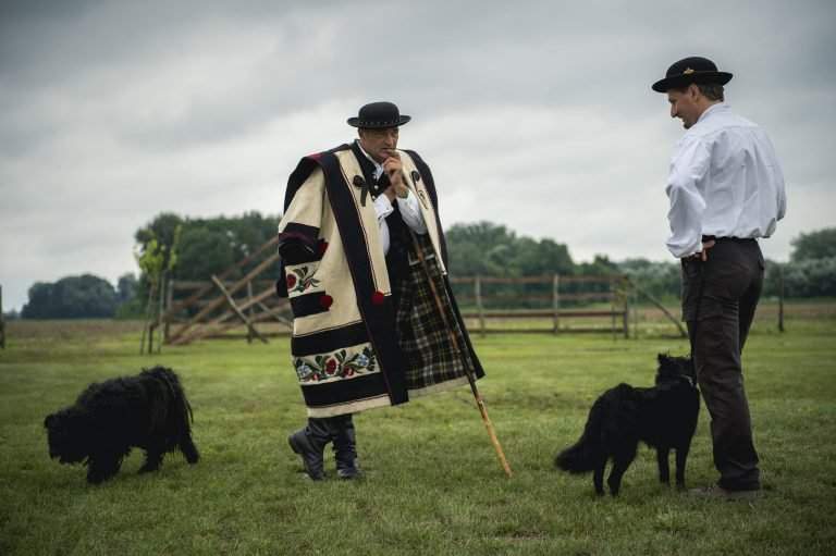 The rarest Hungarian dog breed you never heard of is almost extinct ...