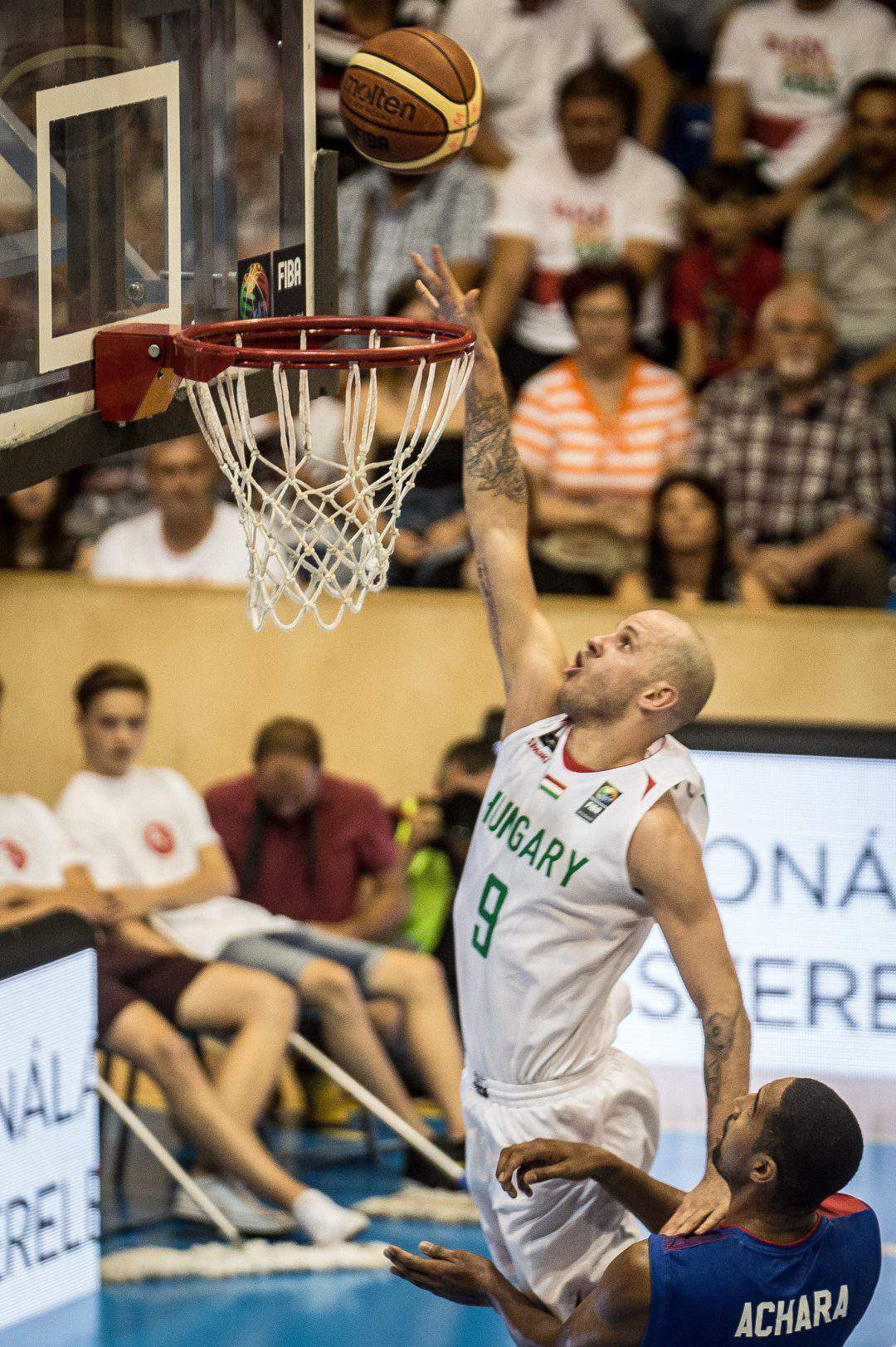 Hungarian men’s national basketball team qualifies for EuroBasket after ...