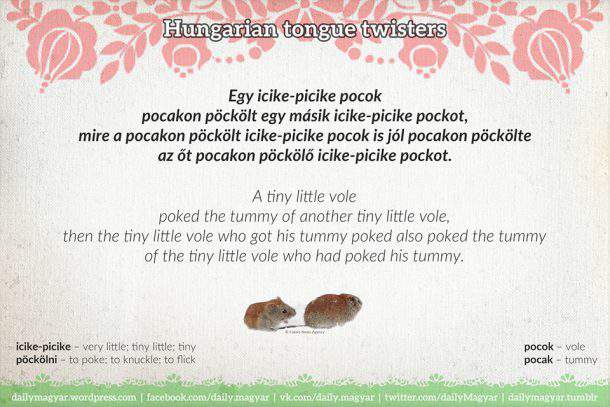 A peek into the beauty of the Hungarian grammar vol.2 - PHOTO GALLERY ...