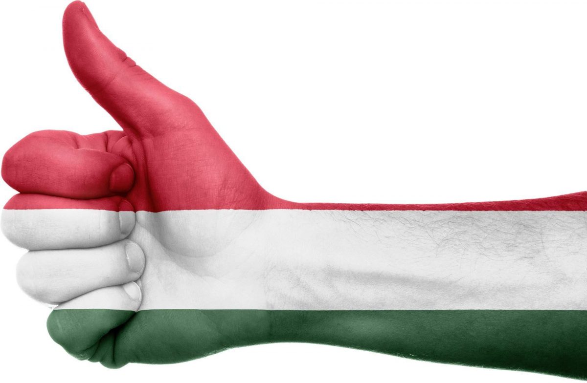 13 fascinating facts about the Hungarian language - Daily News Hungary