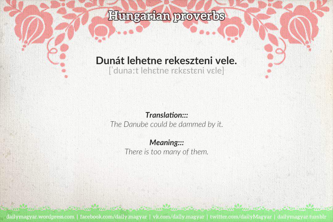 Mini language lesson #13 – Hungarian proverbs, sayings - Daily News Hungary