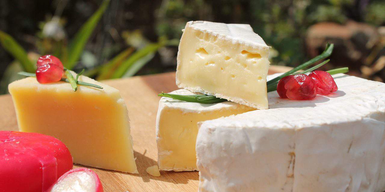 Hungarian cheese making on the rise | Daily News Hungary