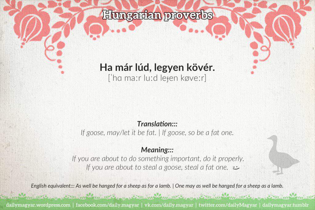 Mini language lesson #18: Hungarian proverbs, sayings vol.4