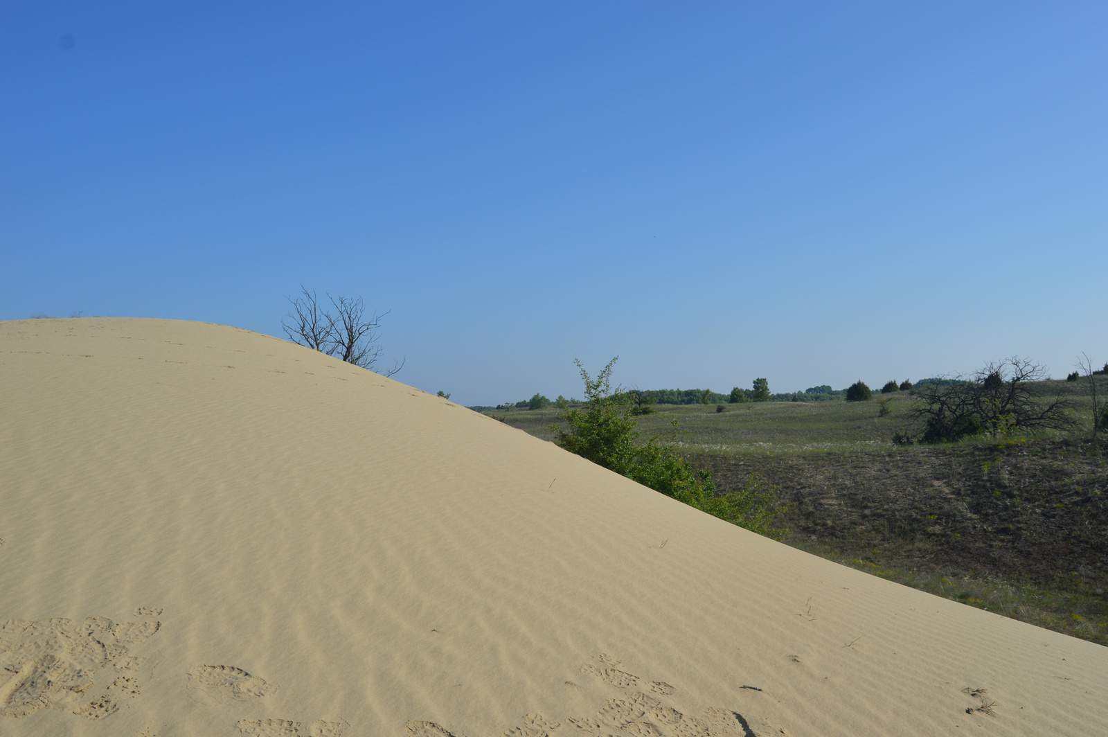 Get to know the Hungarian desert - Daily News Hungary
