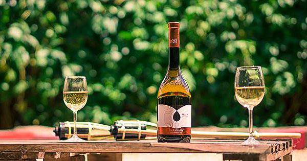 5 Hungarian wine cellars you must visit