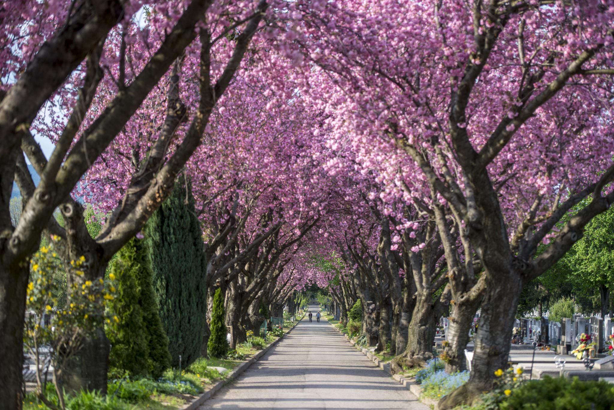 Record high temperature in Hungary – Photo Gallery – Daily News Hungary