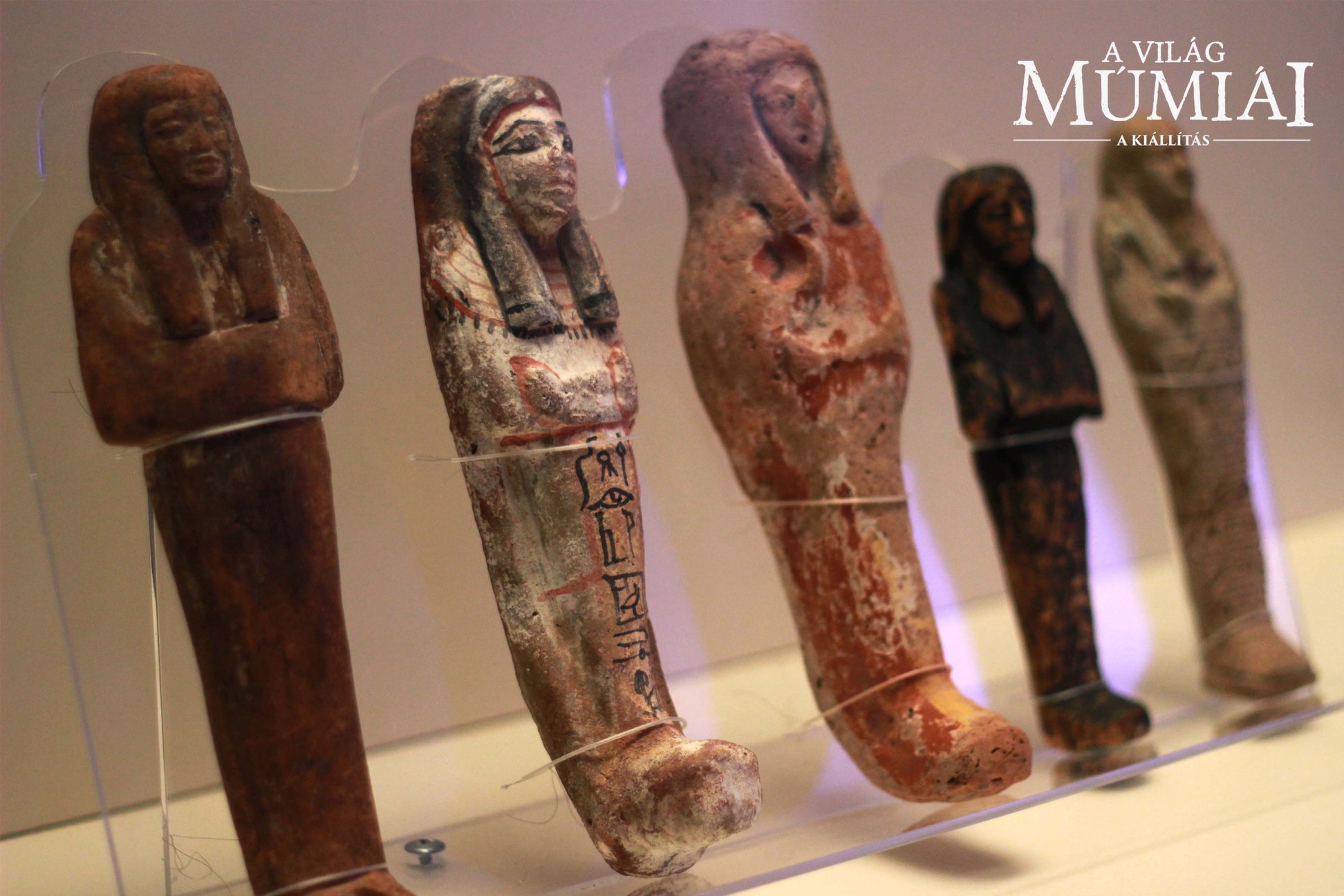 Explore ancient lives: the Mummy Collection in Budapest - Daily News ...