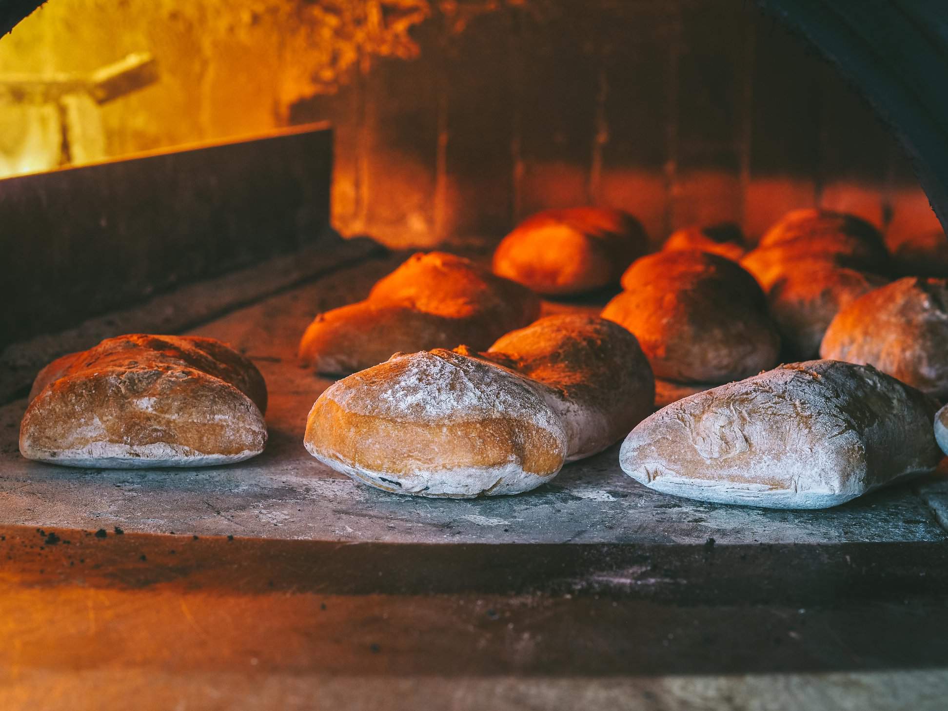 The 7 best menus for lunch in Budapest - Daily News Hungary