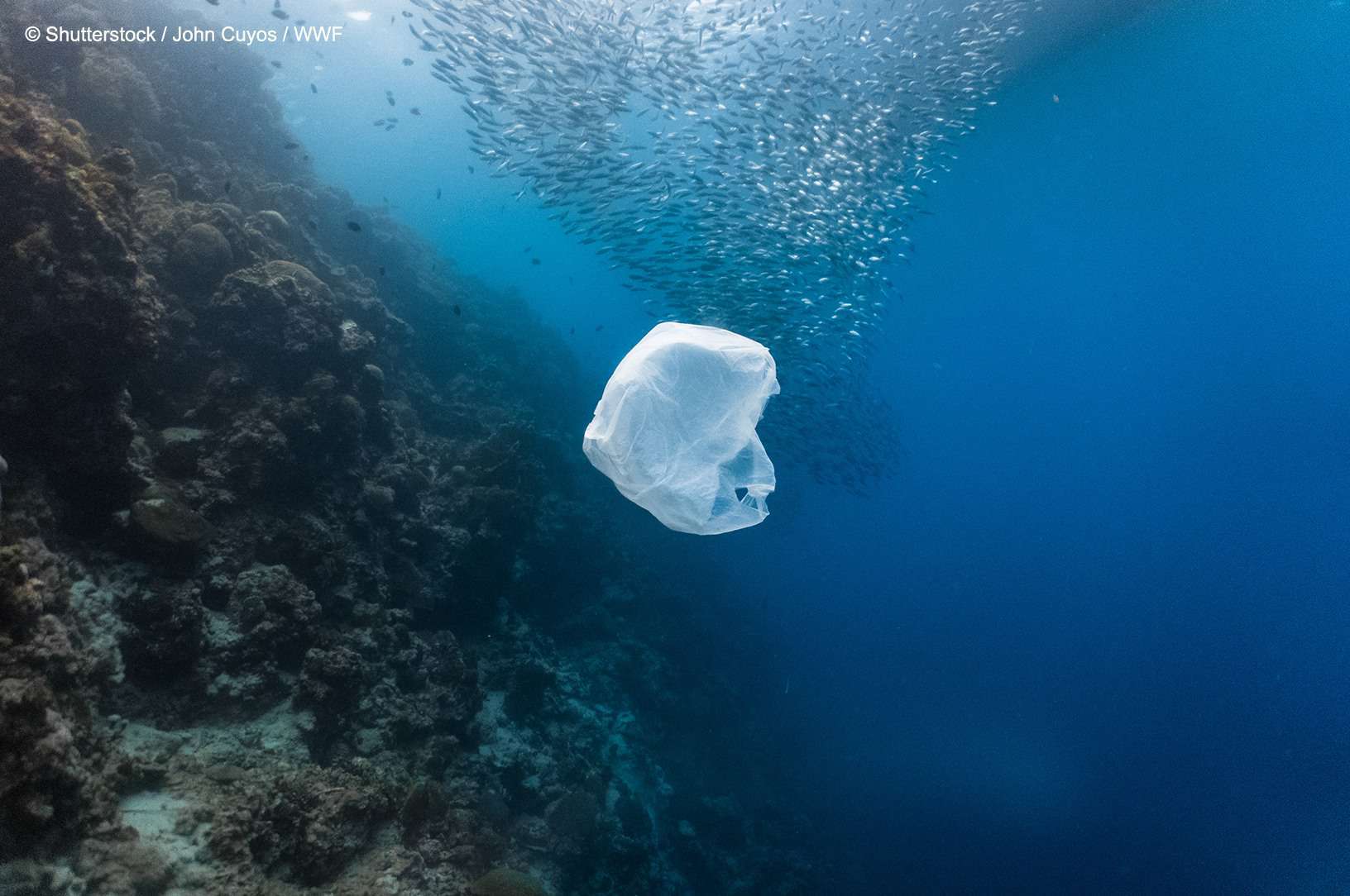 These are the most polluted areas of the Mediterranean Sea - Daily News ...