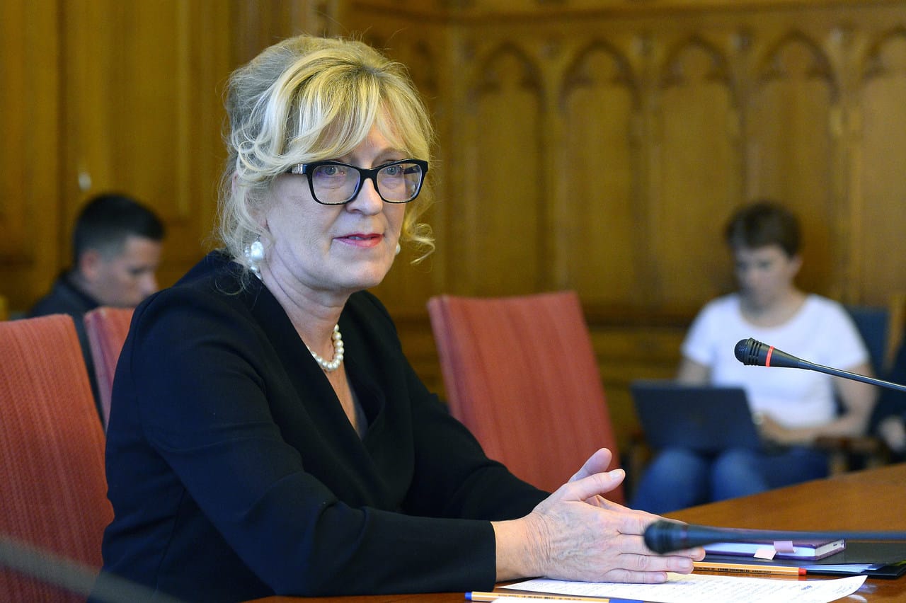 Parliament committee backs Handó for constitutional court judge – Daily ...