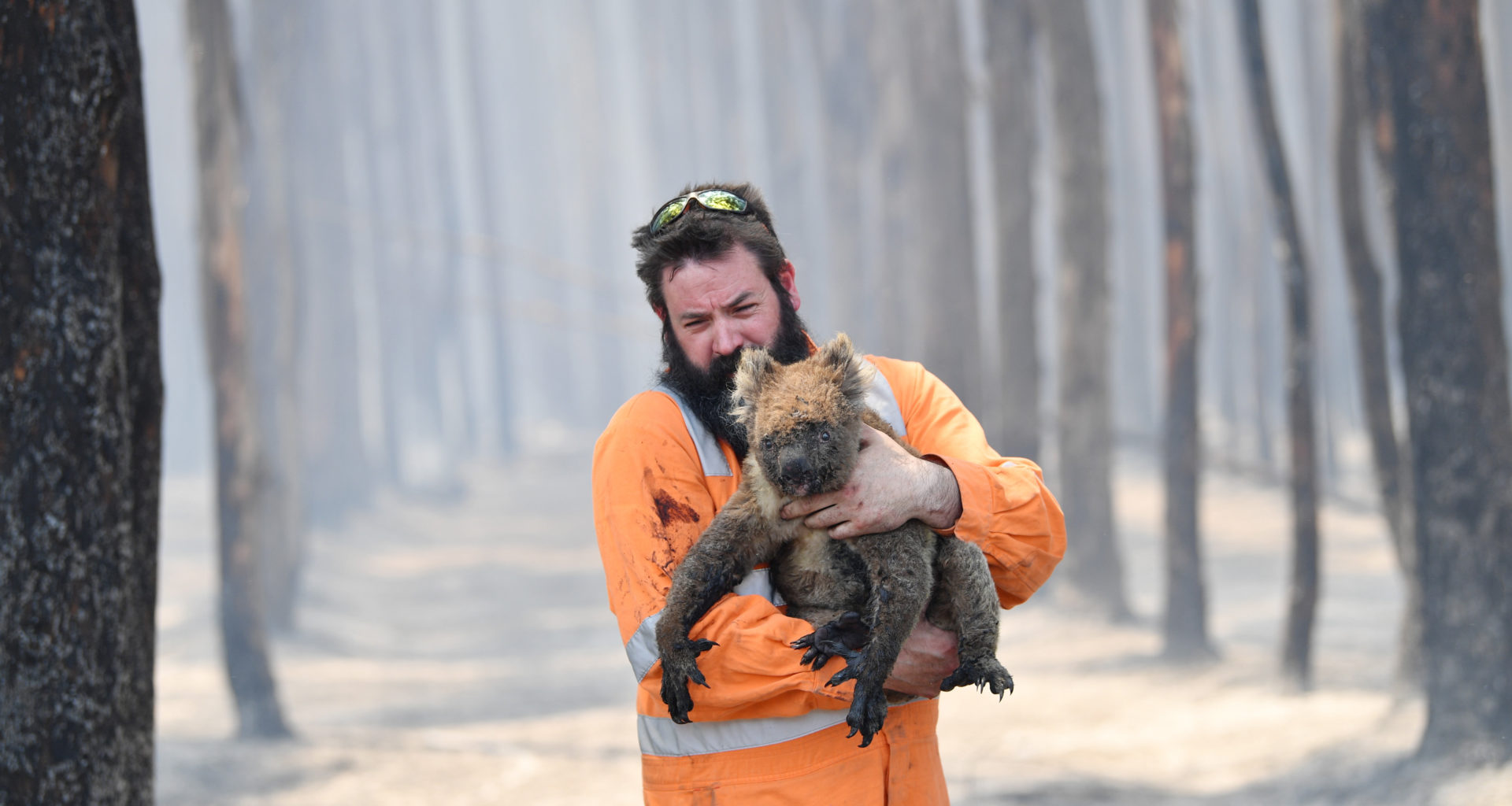 Australian firefighters prepare to face “megablaze” – Daily News Hungary