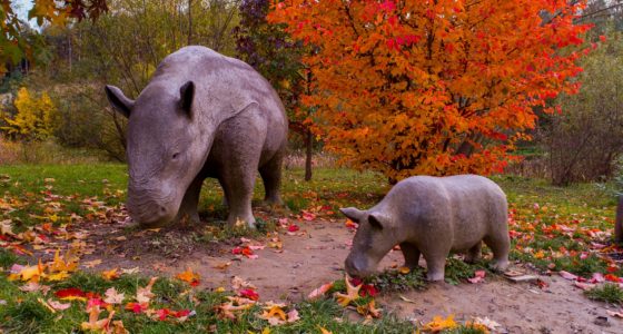 Three fascinating places in Hungary with prehistoric fossils – Daily ...