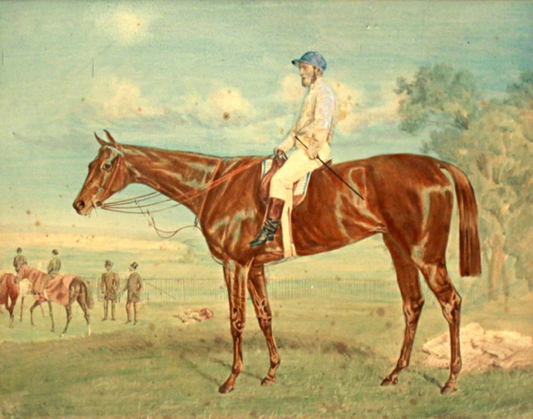 The most famous Hungarian animals to be proud of – PHOTOS – Daily News ...