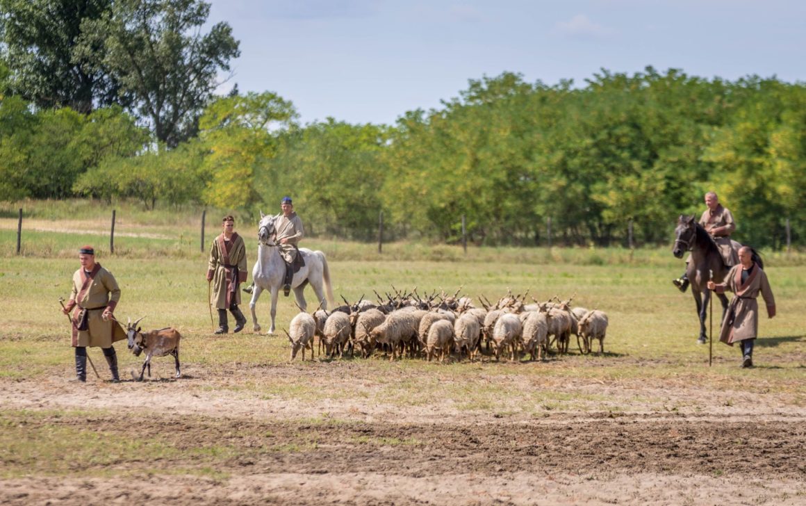 Why is it worth visiting Bugac puszta in Hungary? - photos, videos ...