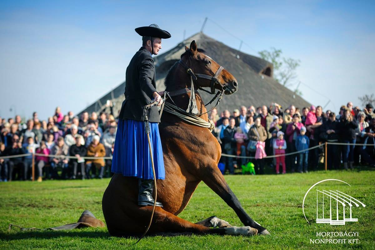 Watch the Hortobágy come to life - Photos - Daily News Hungary