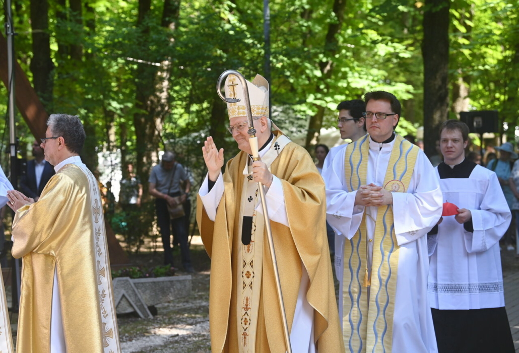 Pope Francis to resign and Hungarian Cardinal Erdő to succeed? - Daily ...