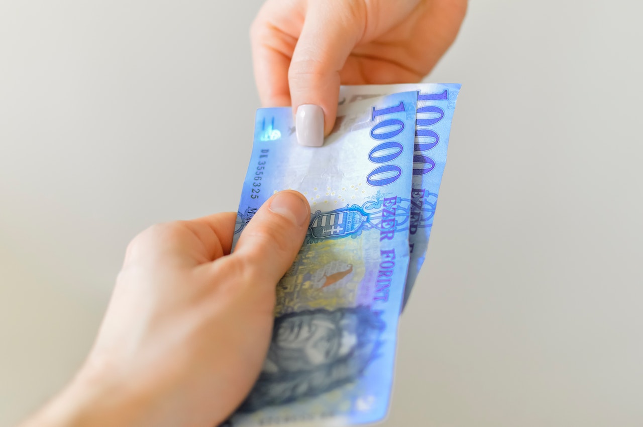 Hungarian government asked to pay back extra profit from utility fee ...