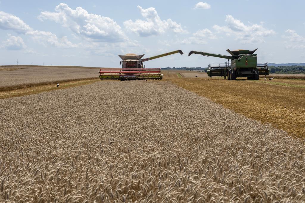Important change in Hungary's agriculture concerning land ownership ...