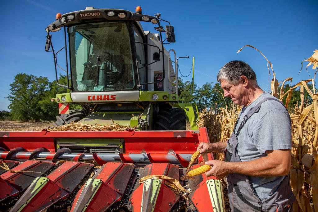 This is how Hungary helps developing countries' agricultural progress ...
